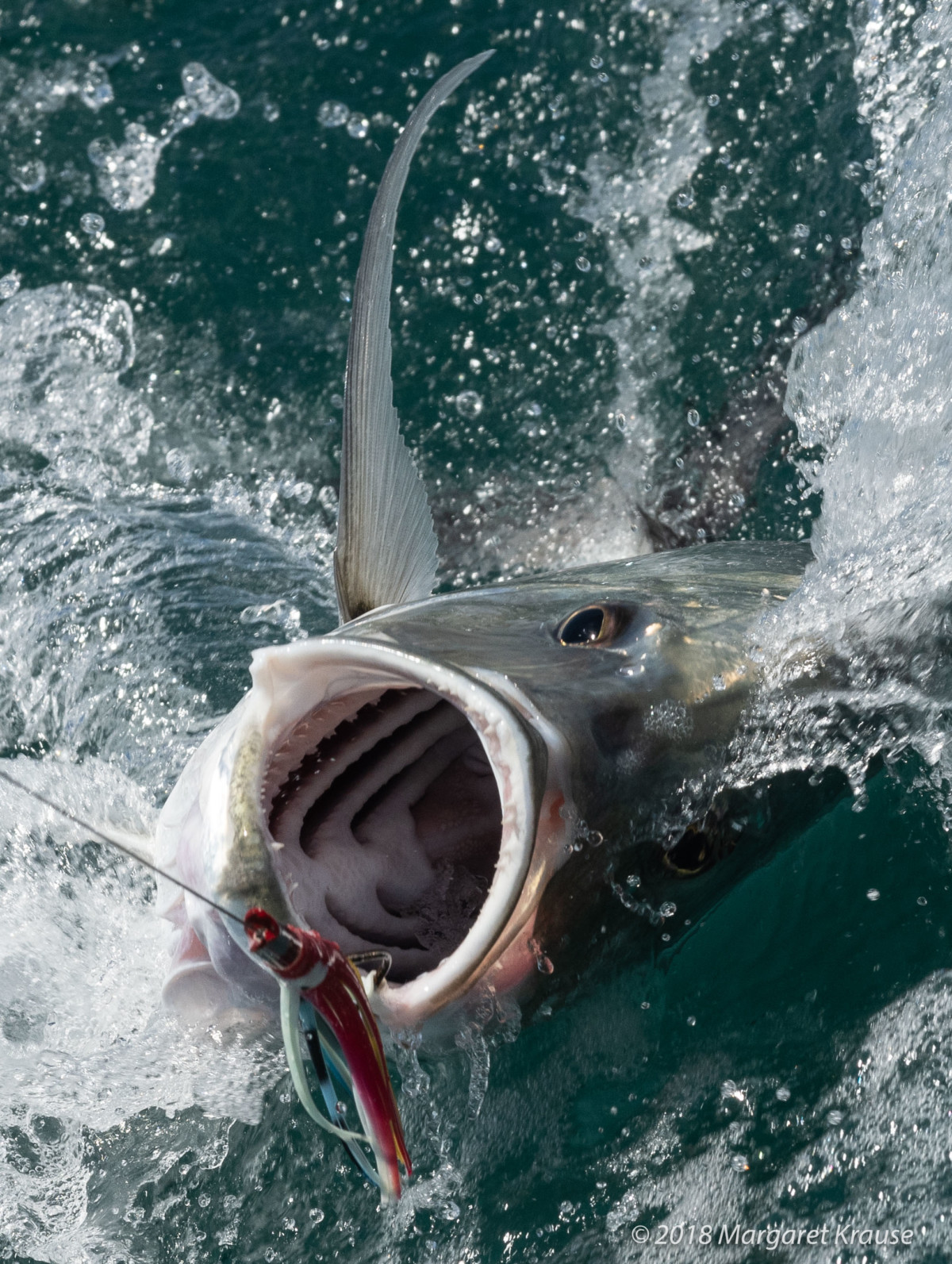 Preparing for Passage – SVWHISTLER