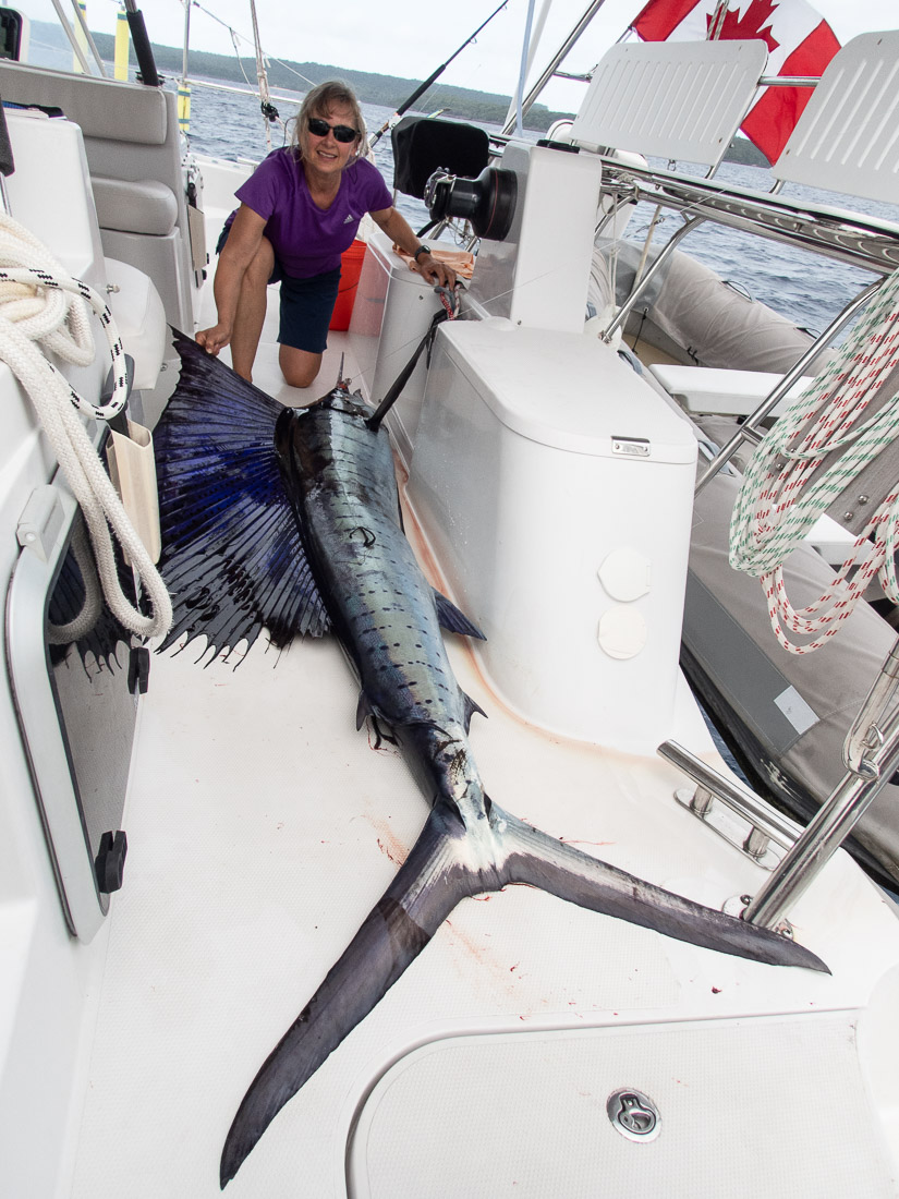 Fishing in Vava’u – SVWHISTLER